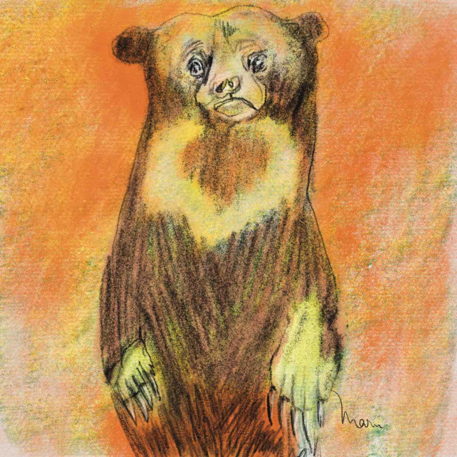 How To Draw Good Luck Bear