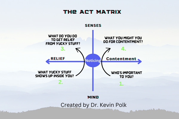Revealing the ACT Matrix: A Guide to Psychological Flexibility in Daily ...