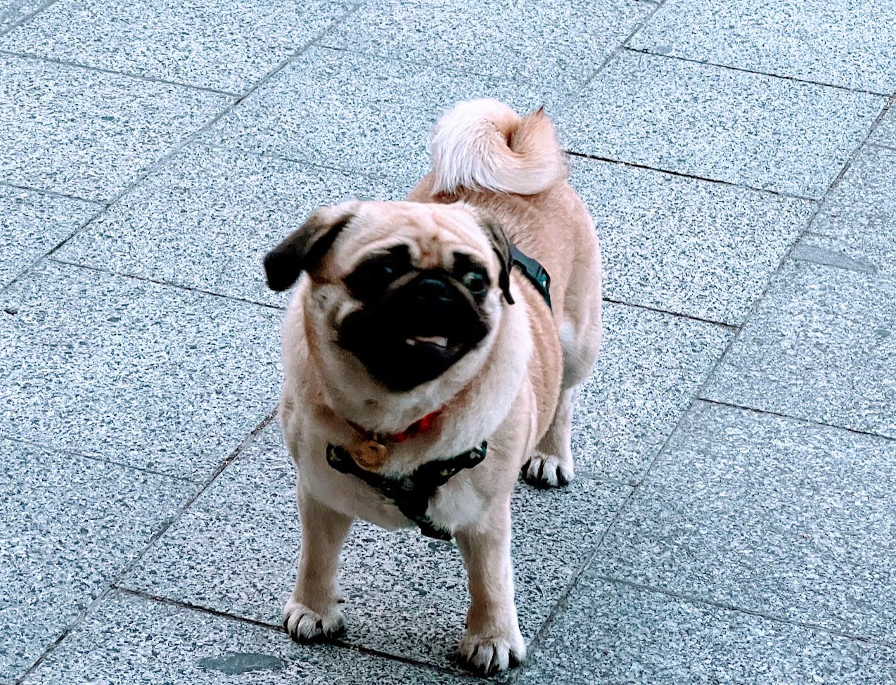 Why Ukraine is obsessed with the U.S. sitcom 'Friends'