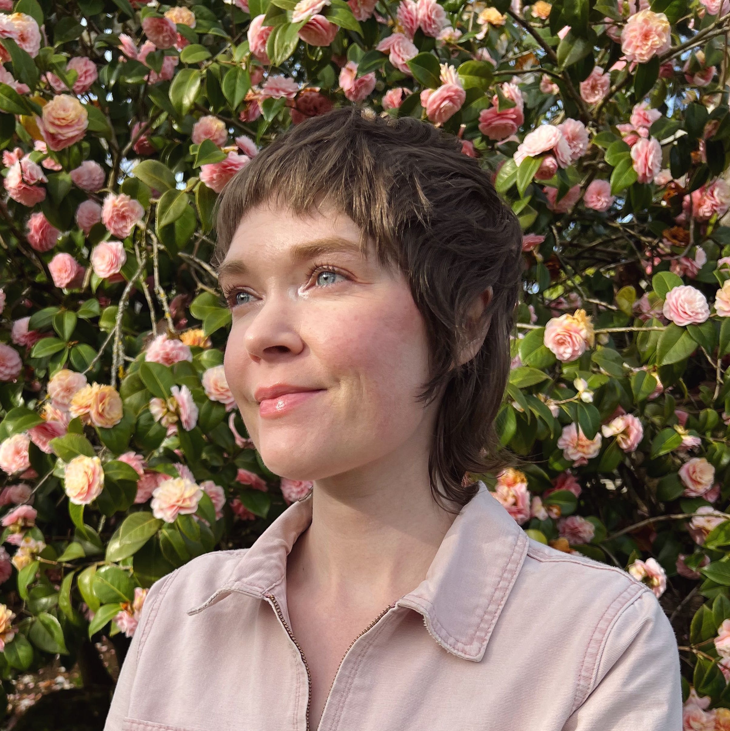 Allison Rosecast | Substack