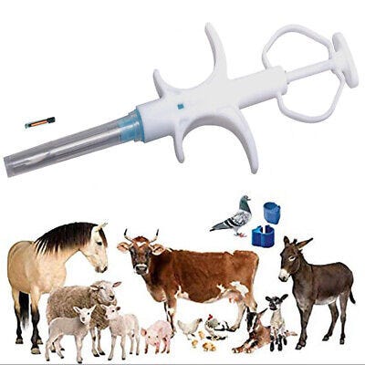 Microchips for animals - Natural Vet