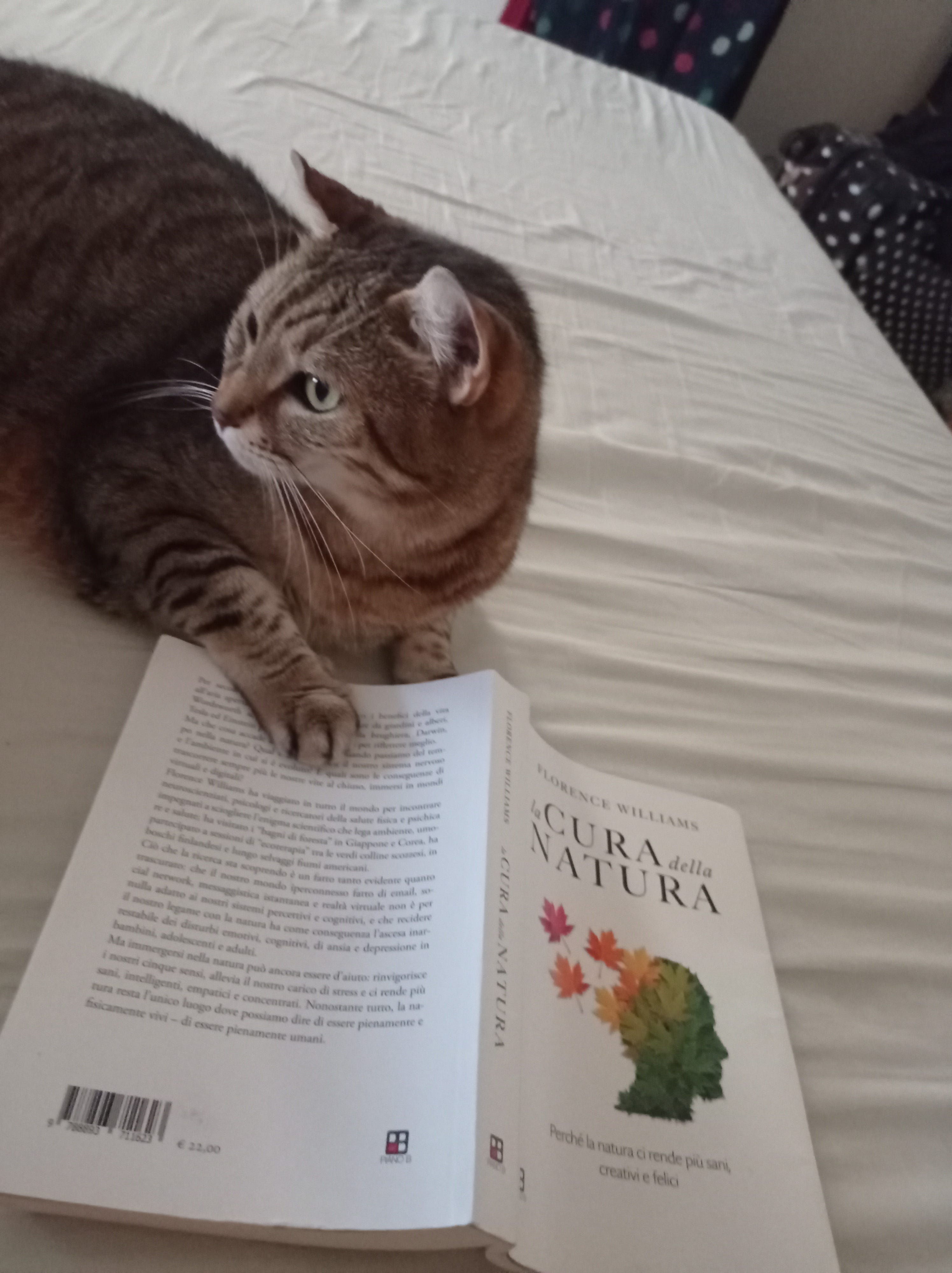 #4 Fake Plastic Tree - Carola’s Substack