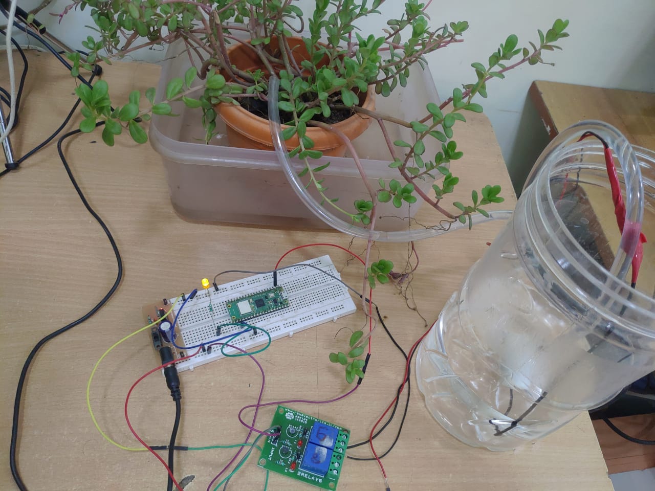 IoT Water Sprinkler Using Raspberry Pi PICO W and MicroPython