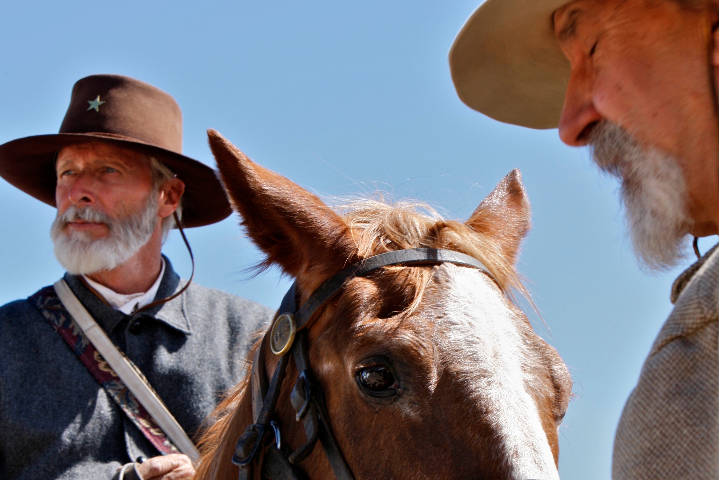 The Pillars of Photography - by TOM ANG - Dark2Light
