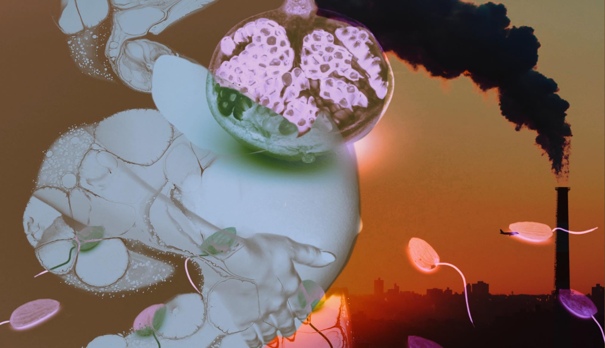 The pox is back - by Nate Bear - ¡Do Not Panic!