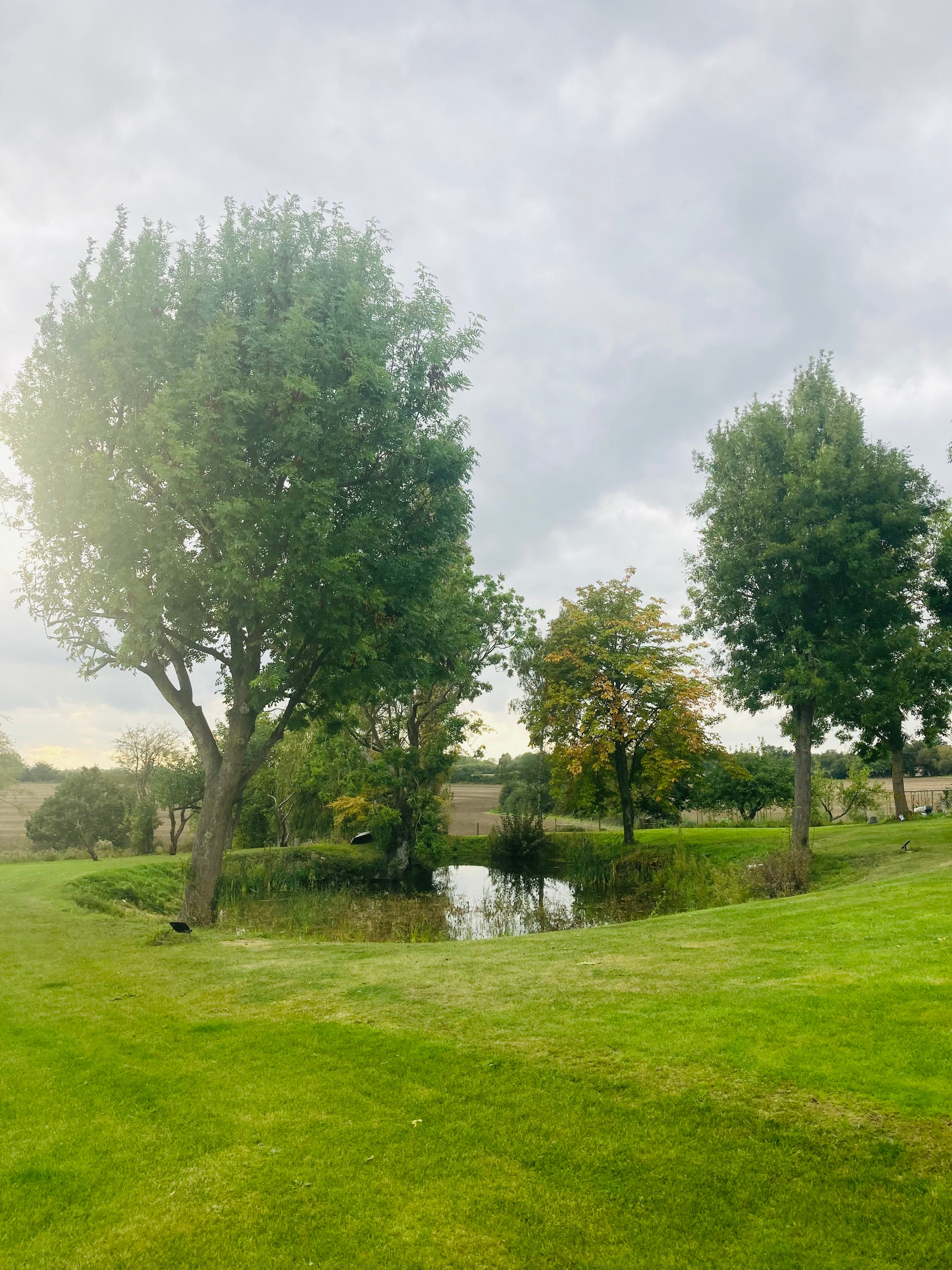 Suffolk's most magical pop-up supper club