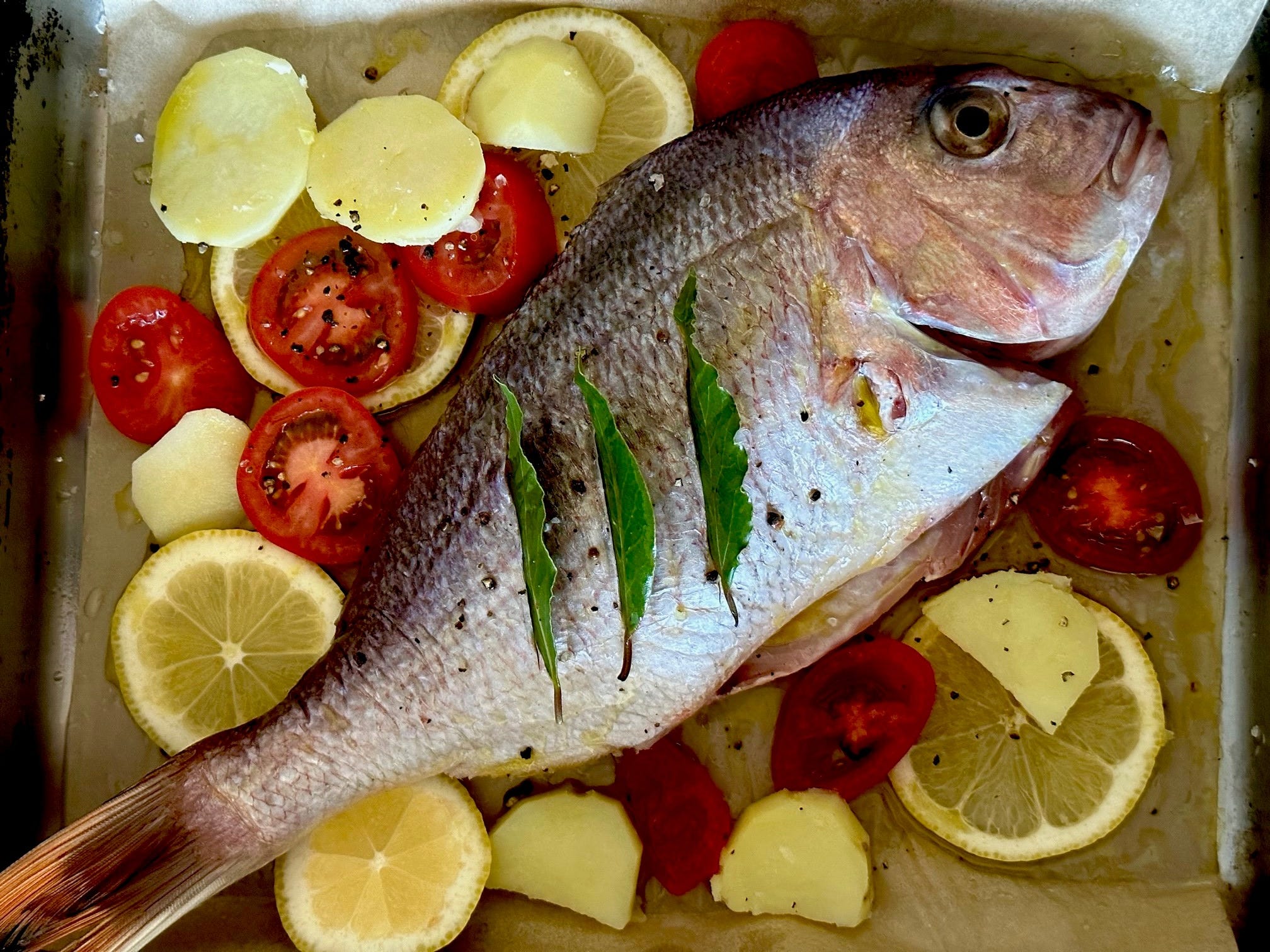 30 MINUTE OVEN-ROASTED FISH - Jill Dupleix Eats