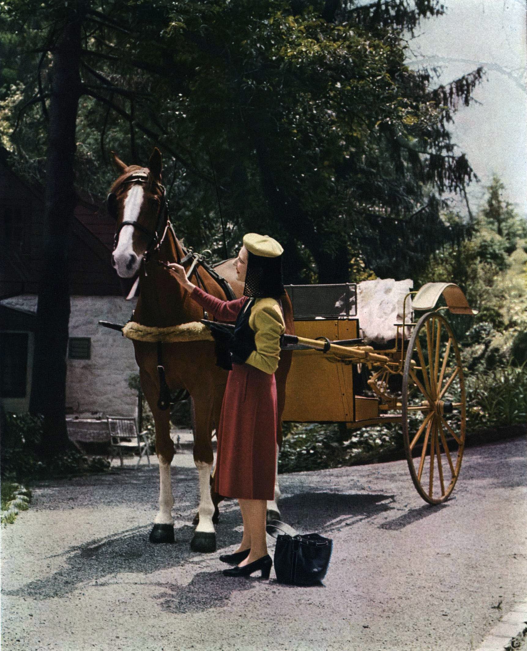 Town and Country with Clare Potter - by Laura McLaws Helms