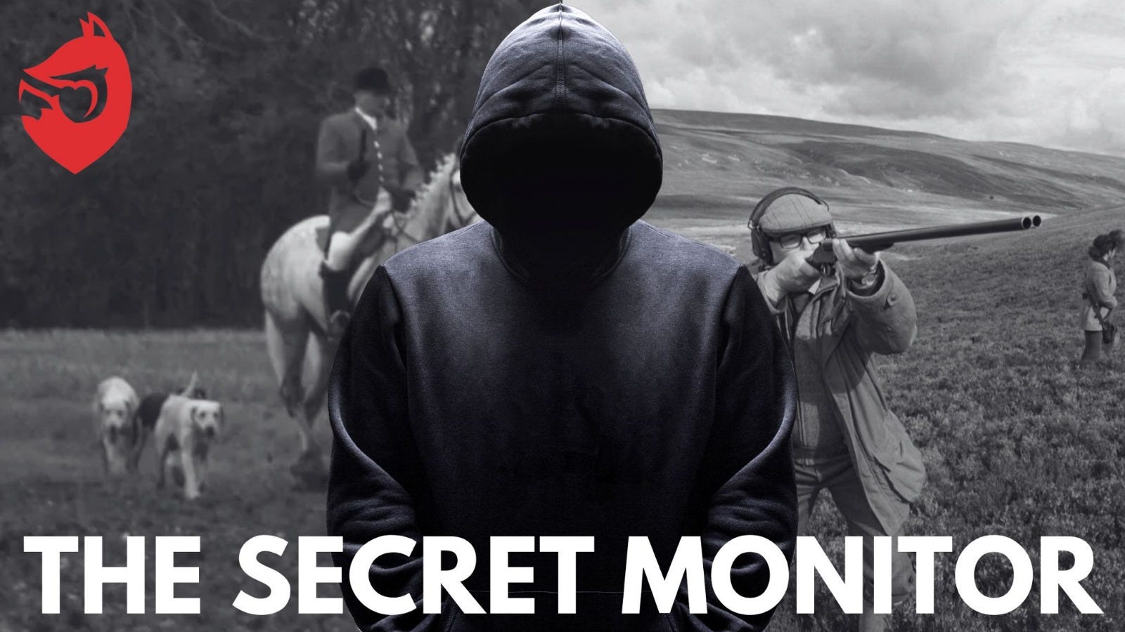 The Secret Monitor: Linhope Estate, Northumberland
