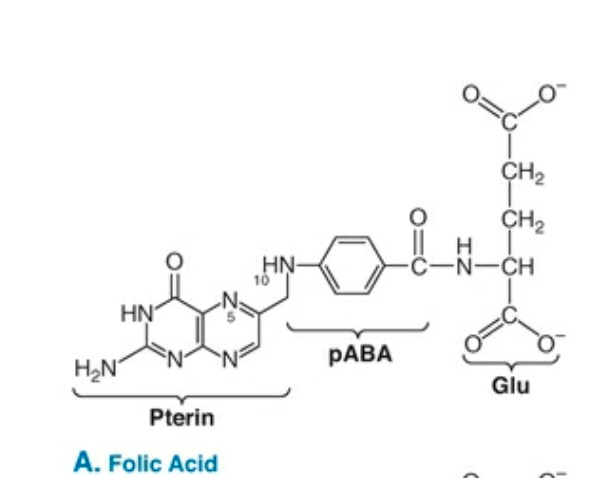 319: What cofactors are needed to synthesize and recycle BH4?