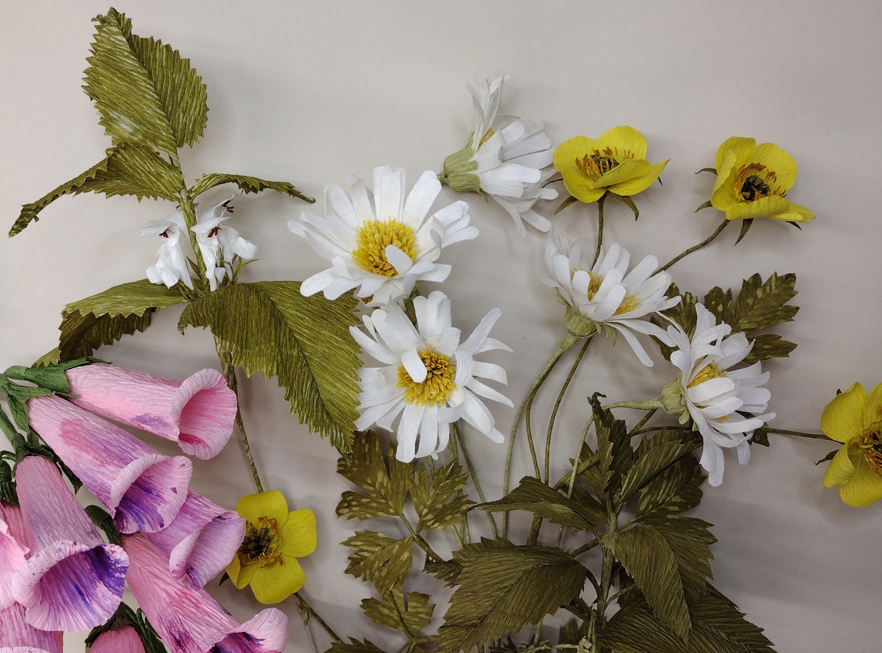 Getting to know the wildflowers - by Ling Warlow