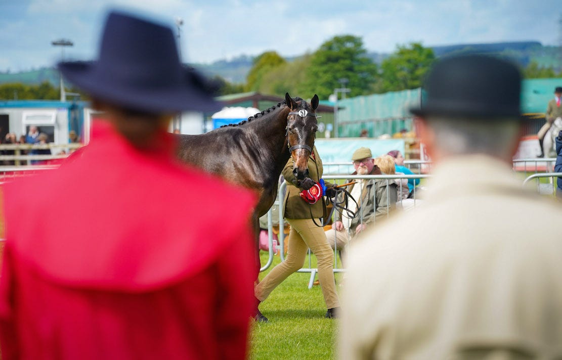 Judges confirmed for 2024 Balmoral Show - Horse&Field