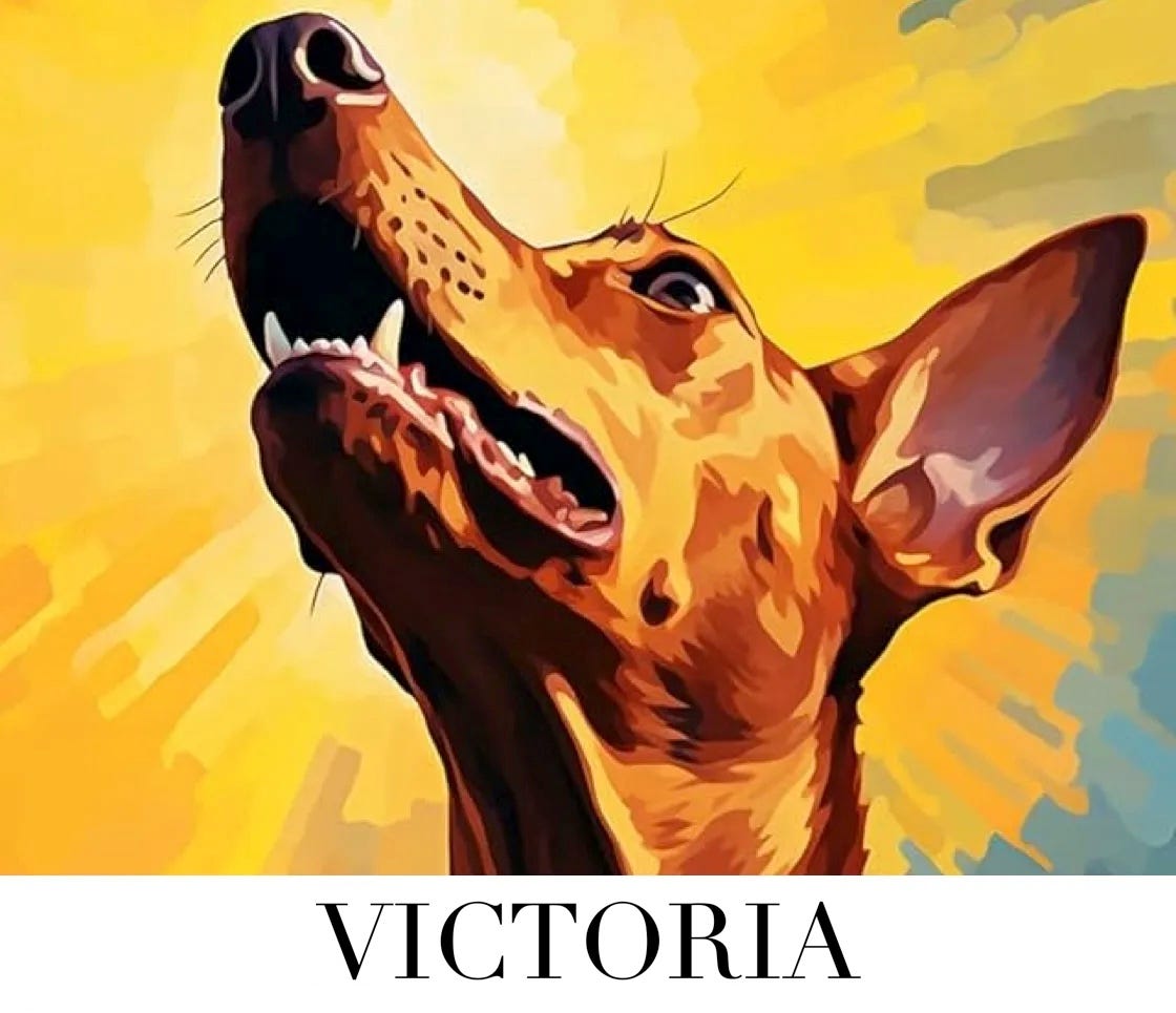 Lyrics, “Victoria” - by Seth Abramson - Hounds