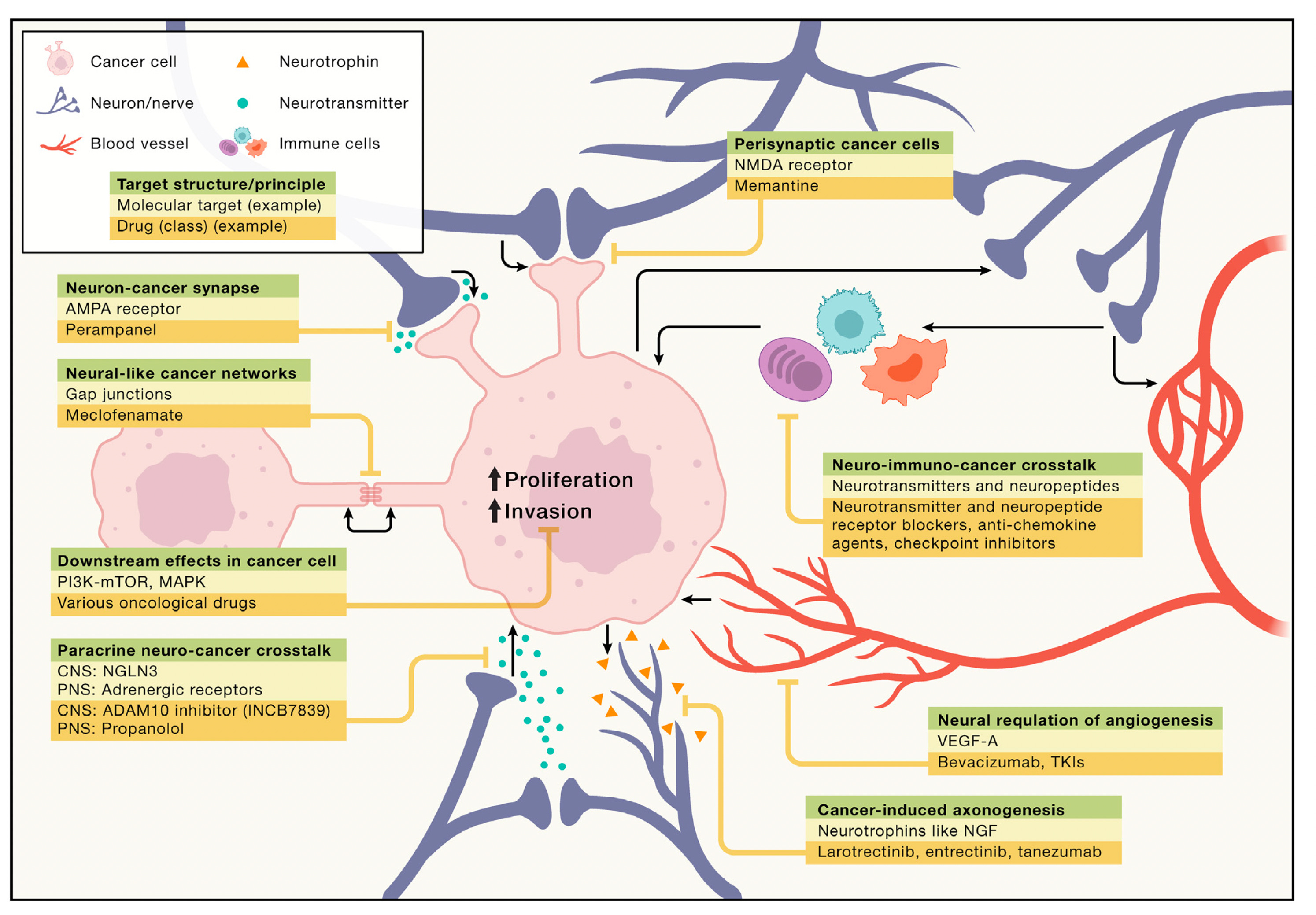 Cancer and the Nervous System - by Eric Topol