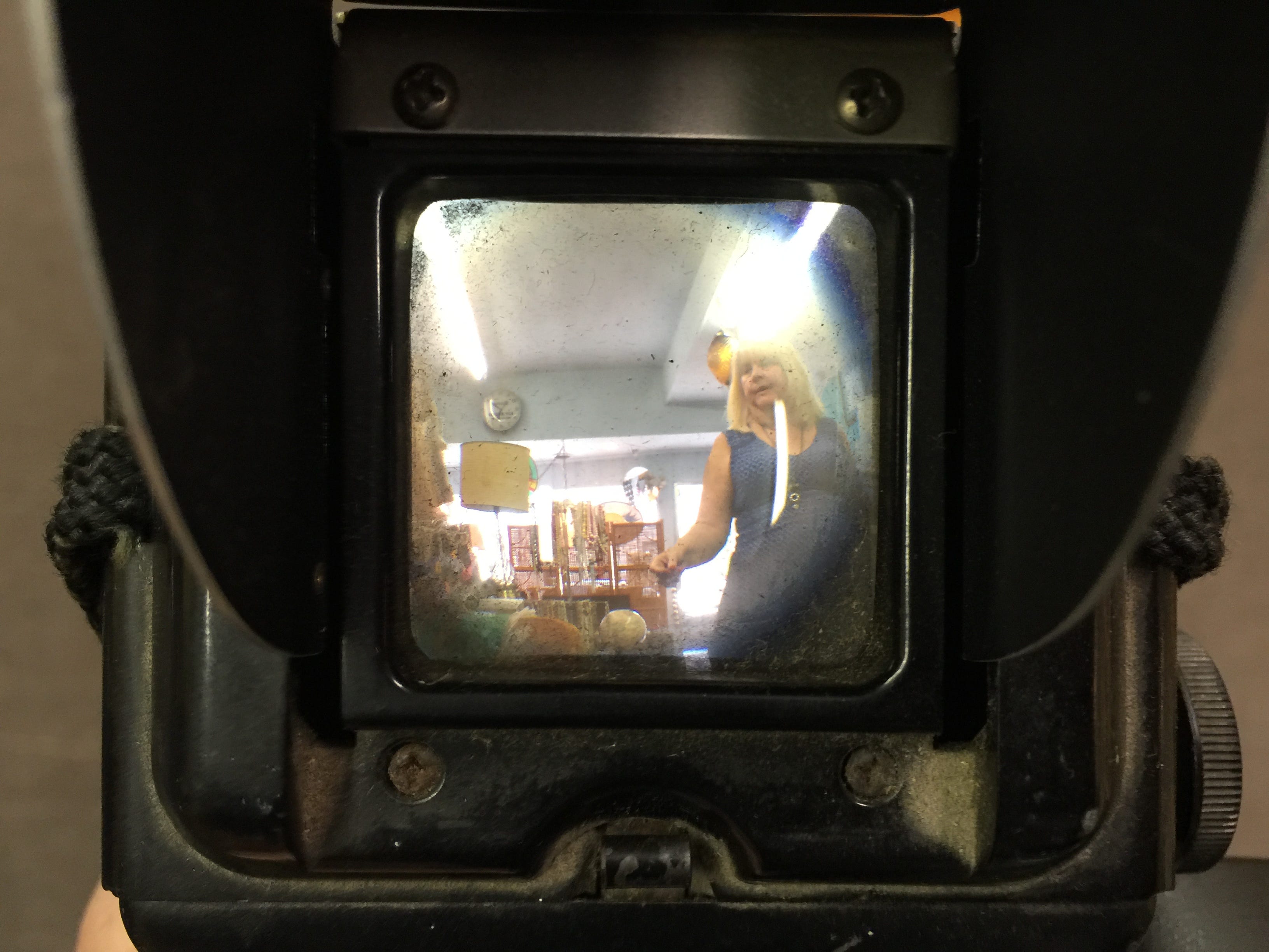 The Normal Way Of Seeing The World - by Gary Gardiner