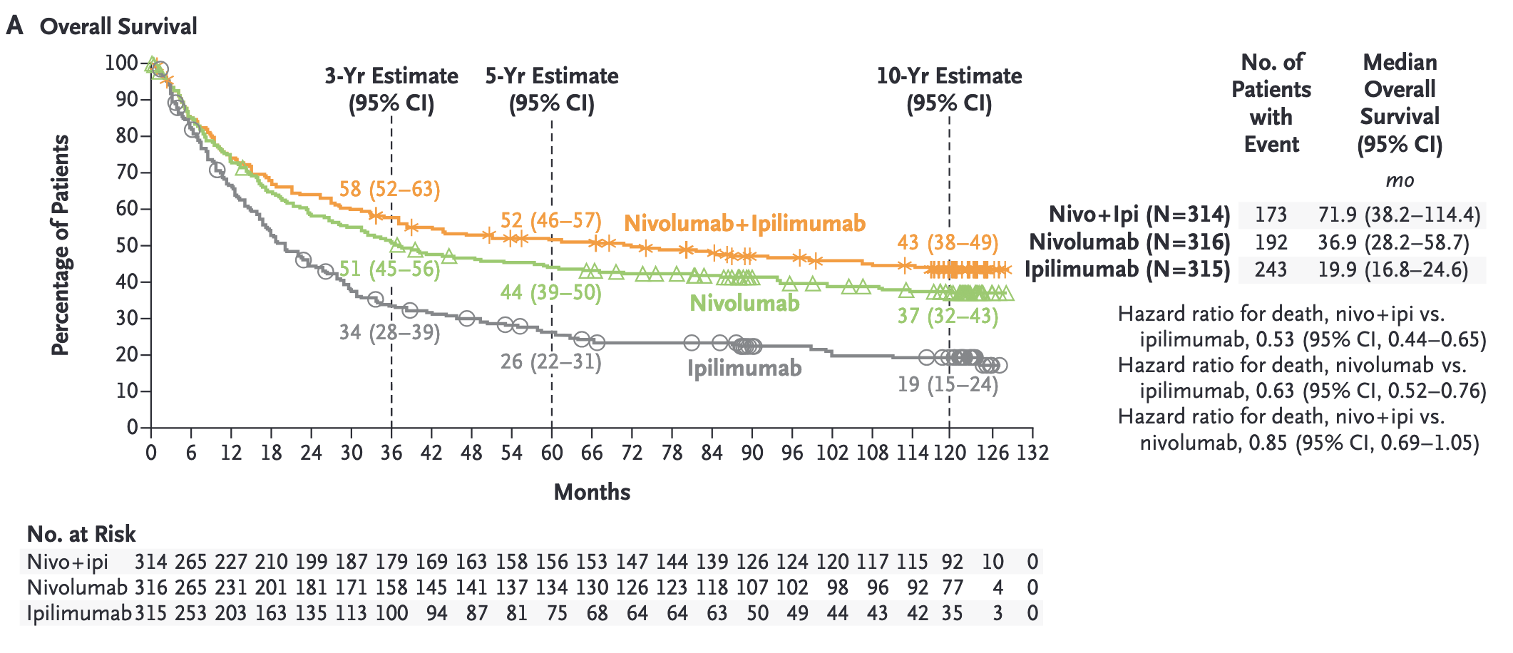Immune Checkpoint Inhibitors: 10-Year Results in Melanoma Are Now Out ...