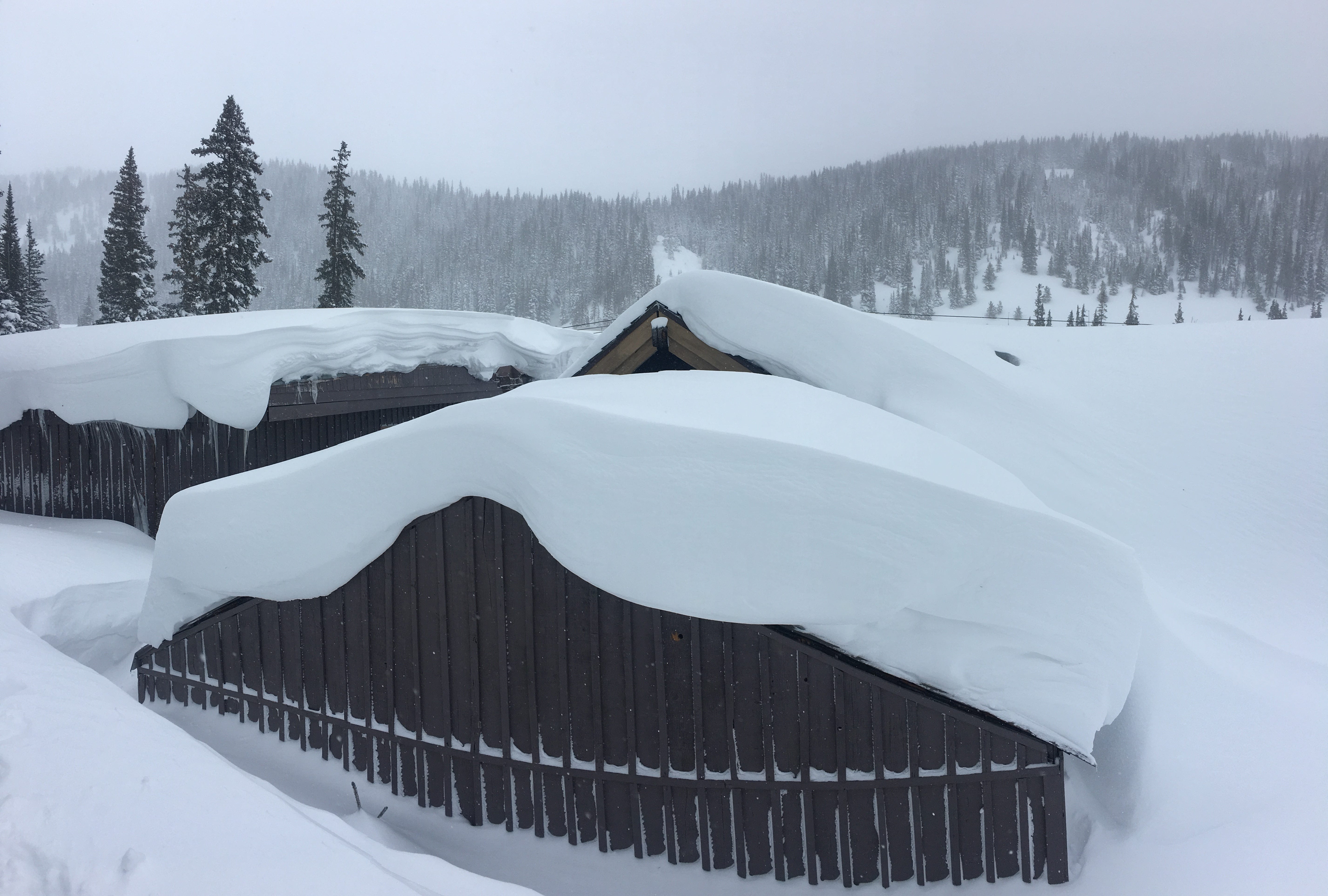 Staying safe with the Winter Storm Severity Index