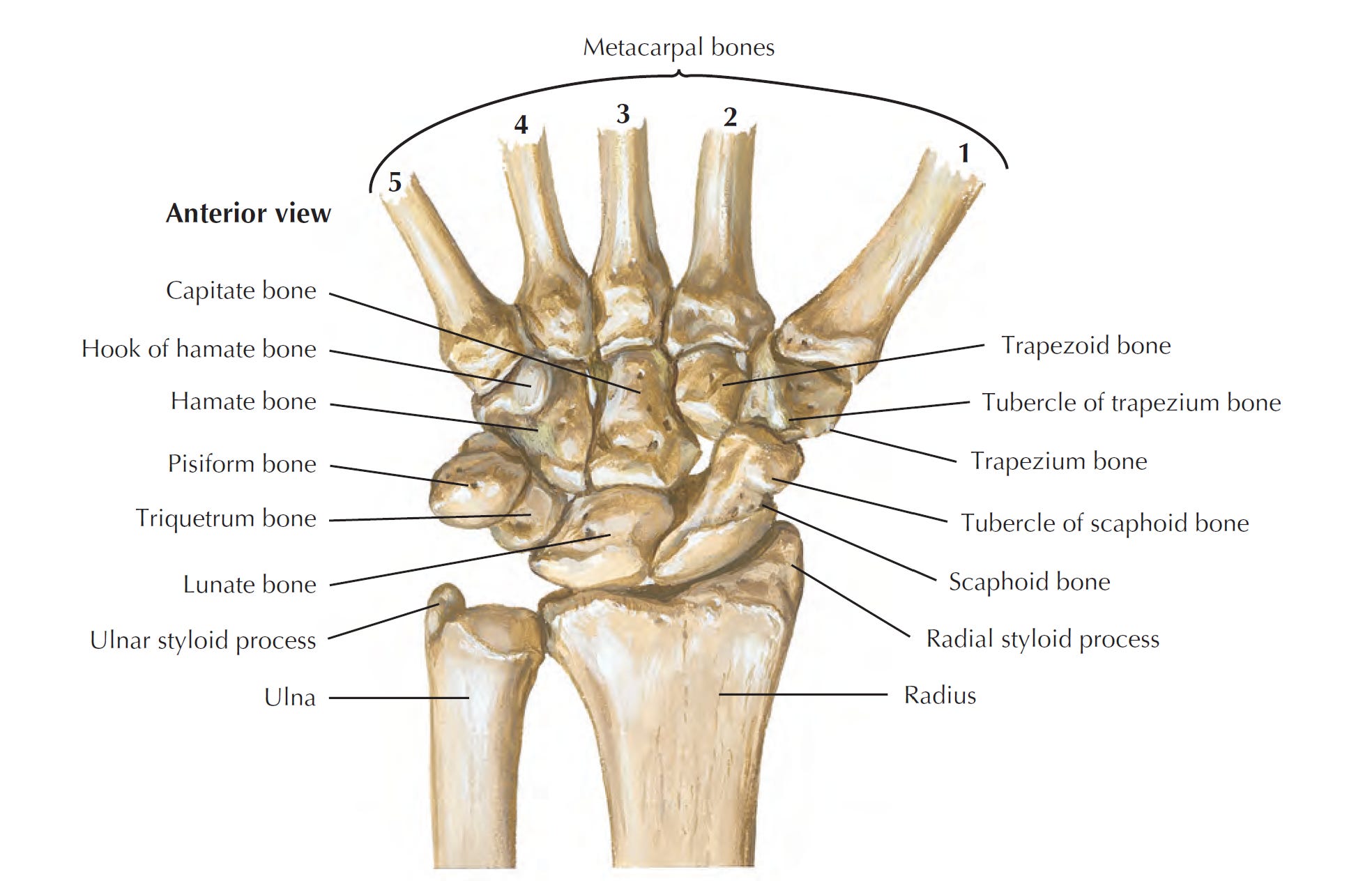 on learning to say, "why not?" - by Vicky O