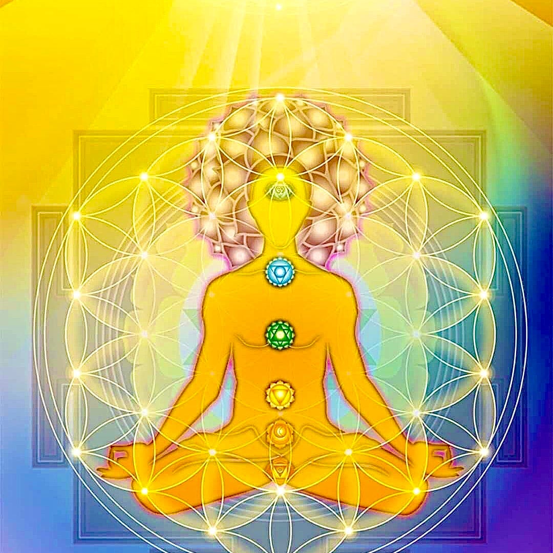 Enlightened Beings subscriber chat