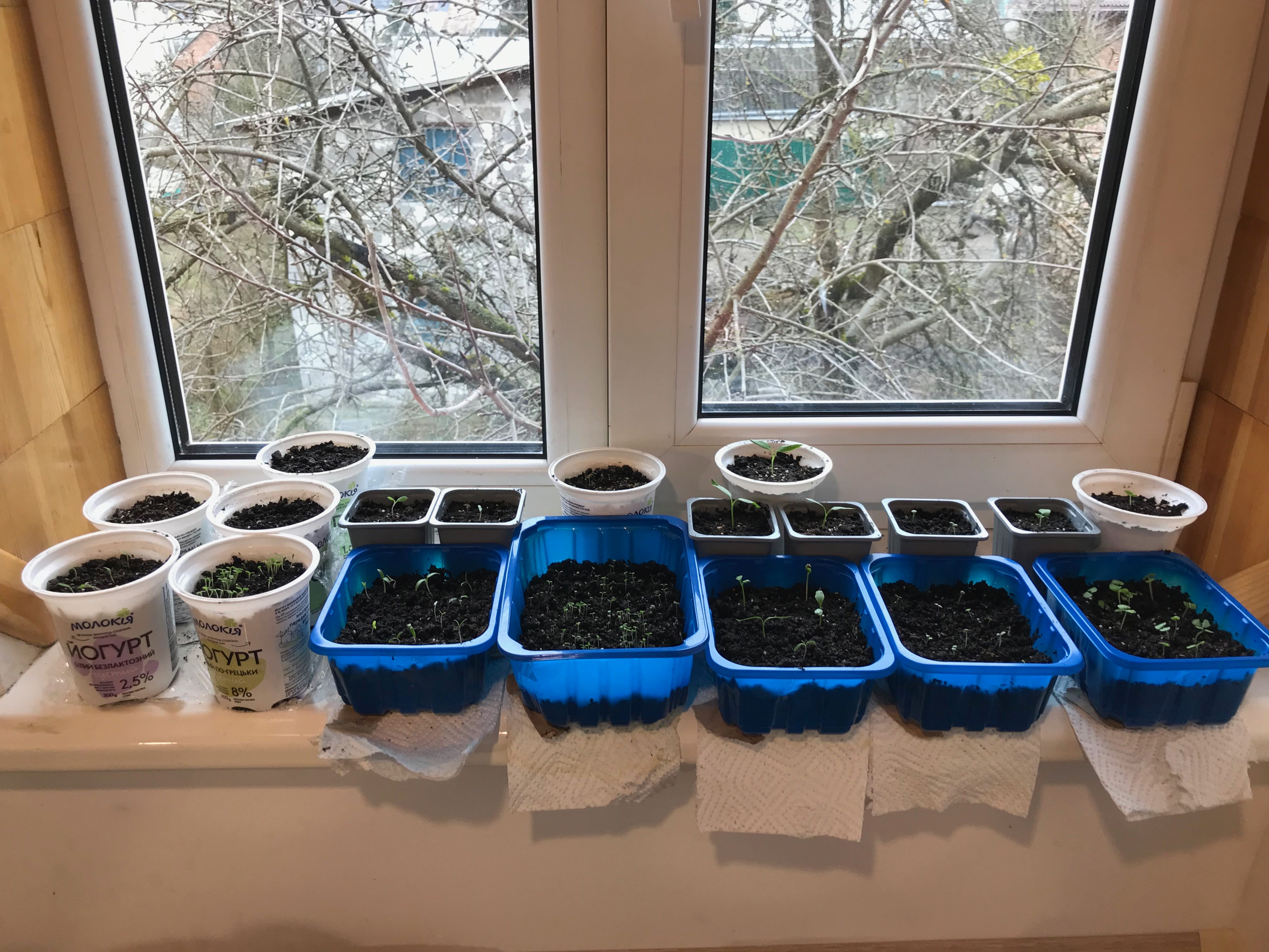 Getting Sidetracked - by Marko - Snapped