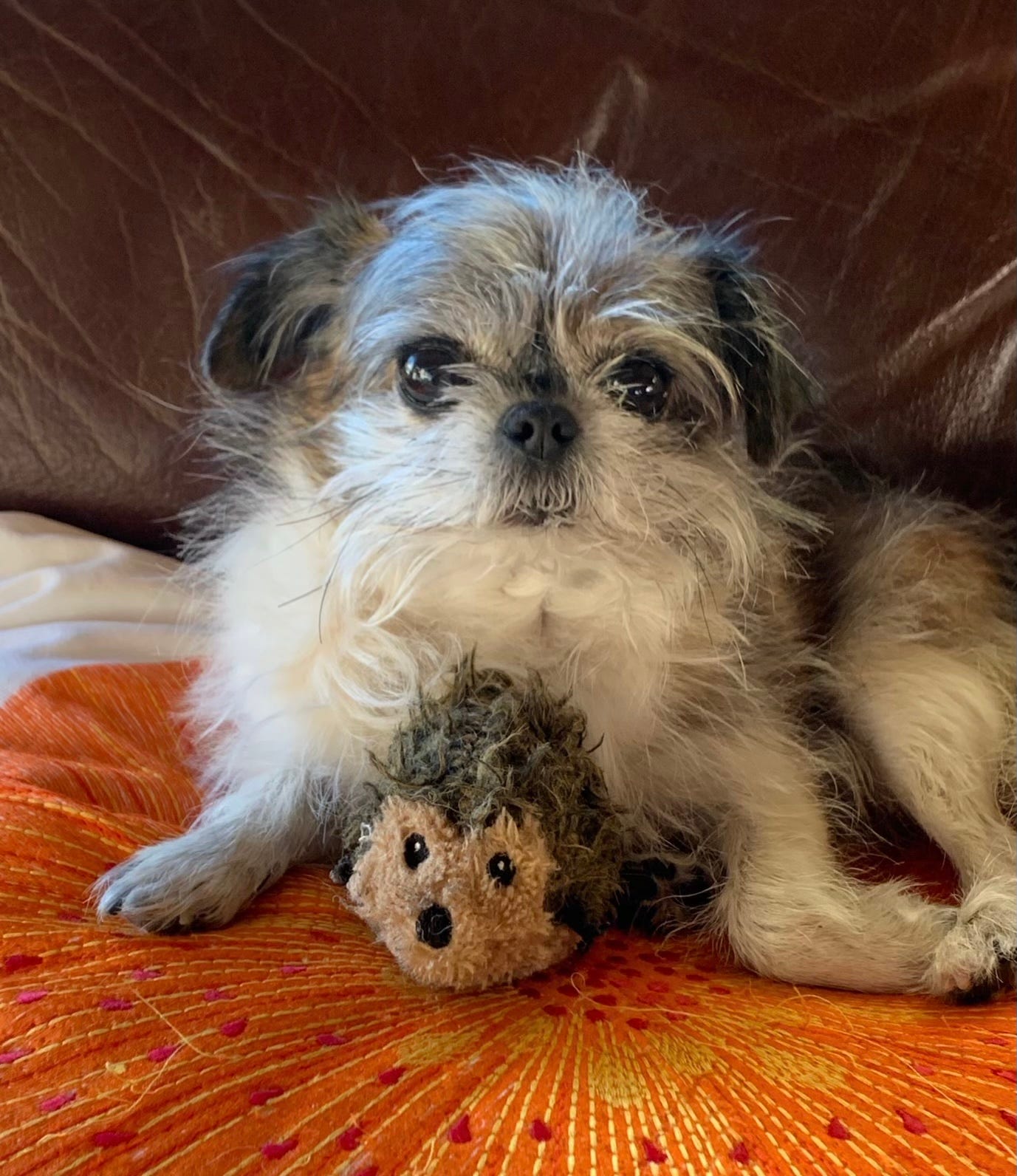 The Face of God - by Bitter Klinger - Chad’s Substack