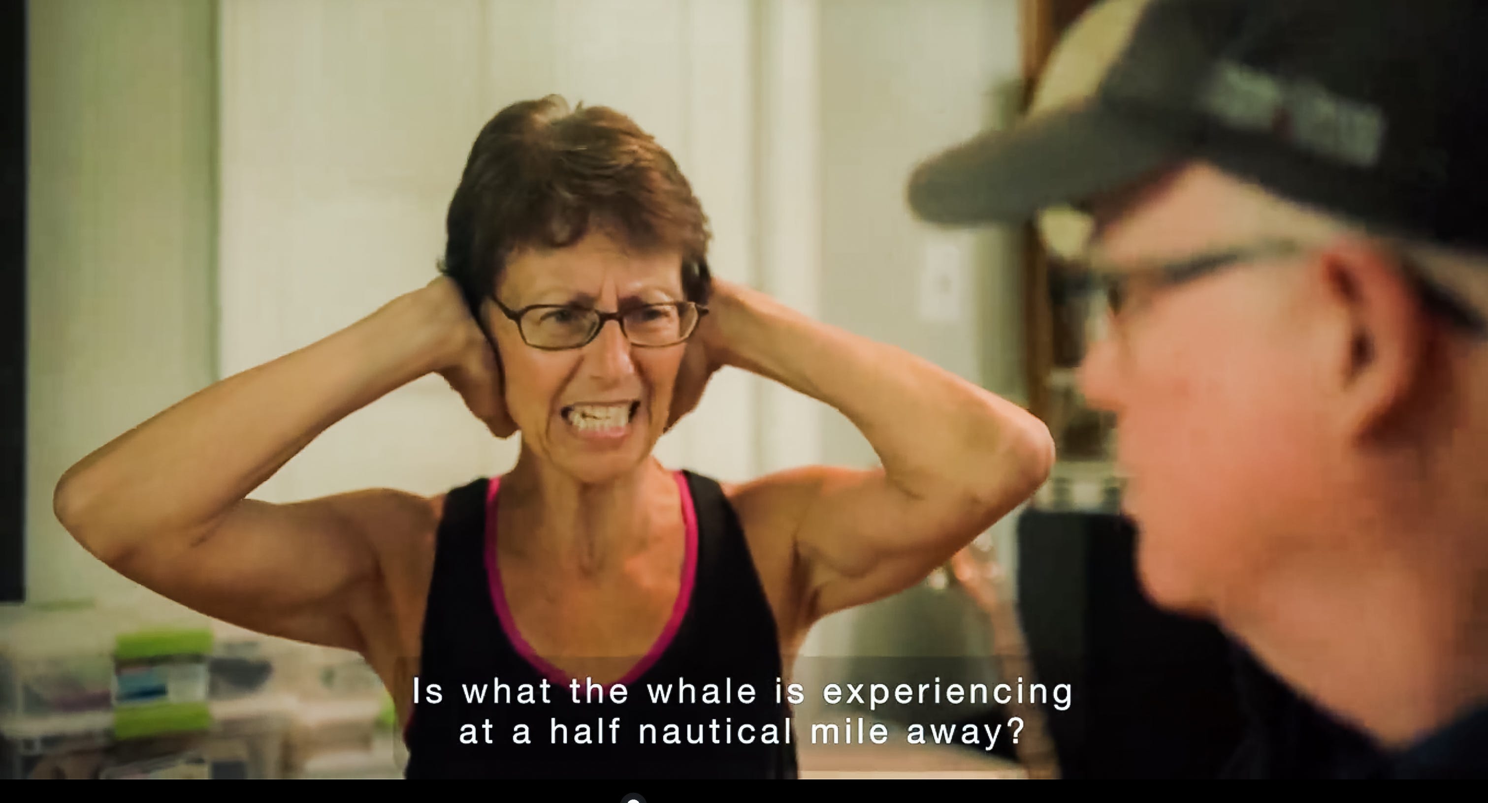 Endangered Whales Unprotected With Wind Industry In Violation Of Sonar ...