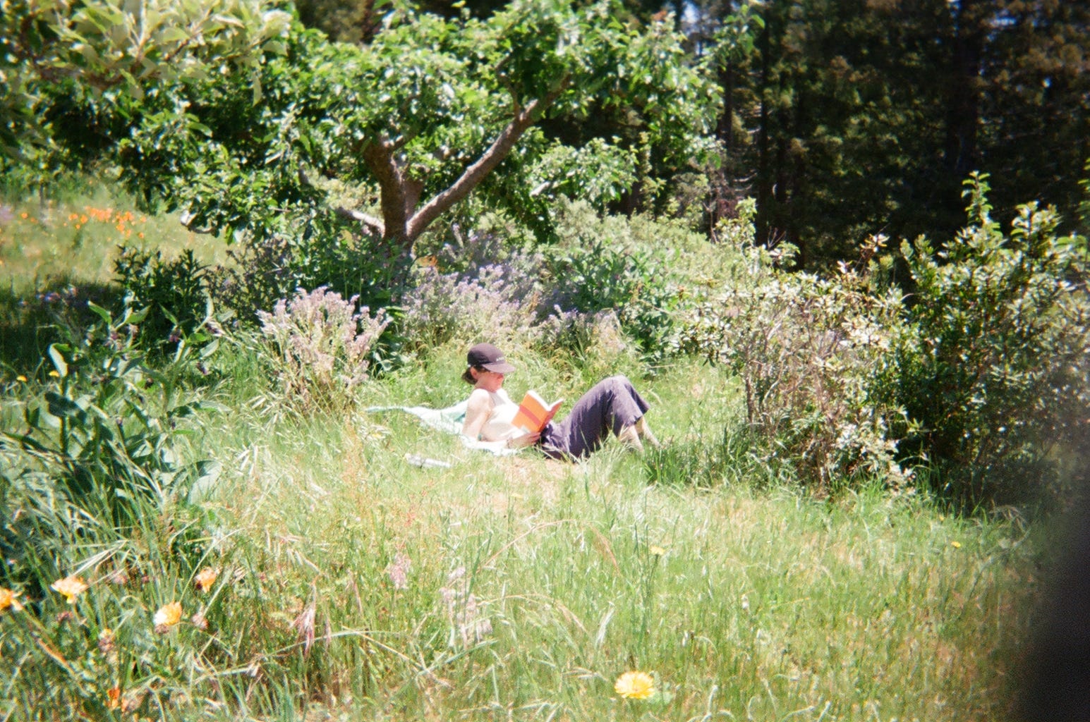 Where does a hermit belong? - by Gina Parisi