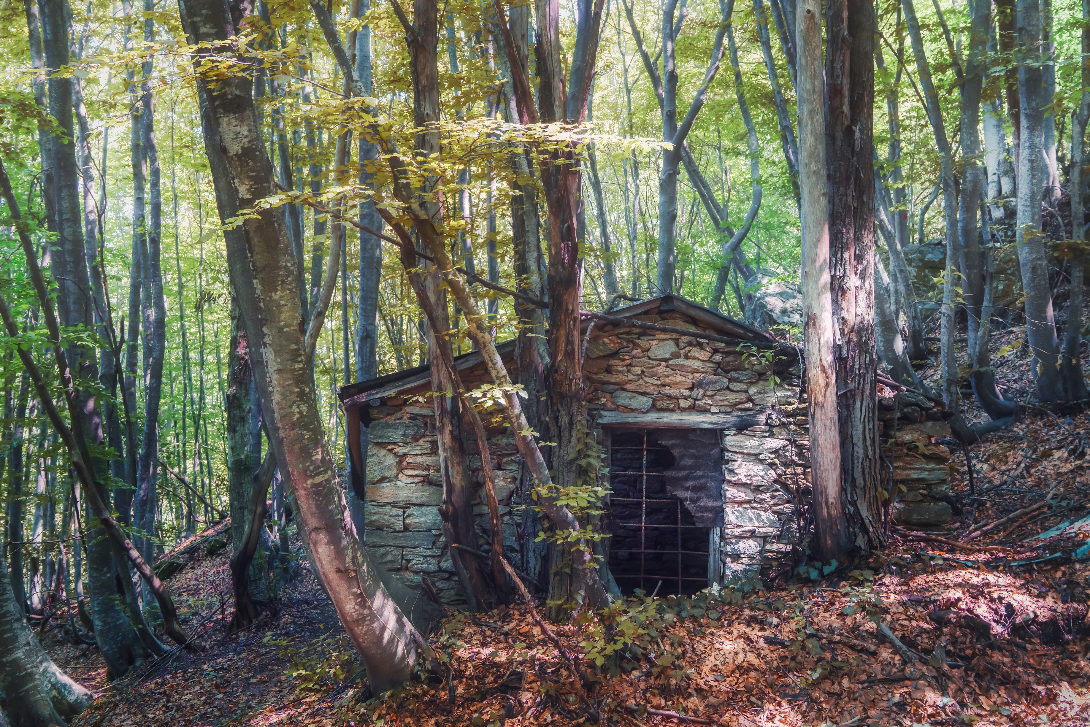 The History of Nicolas and the Oracle of Knowledge. . . – The Unists