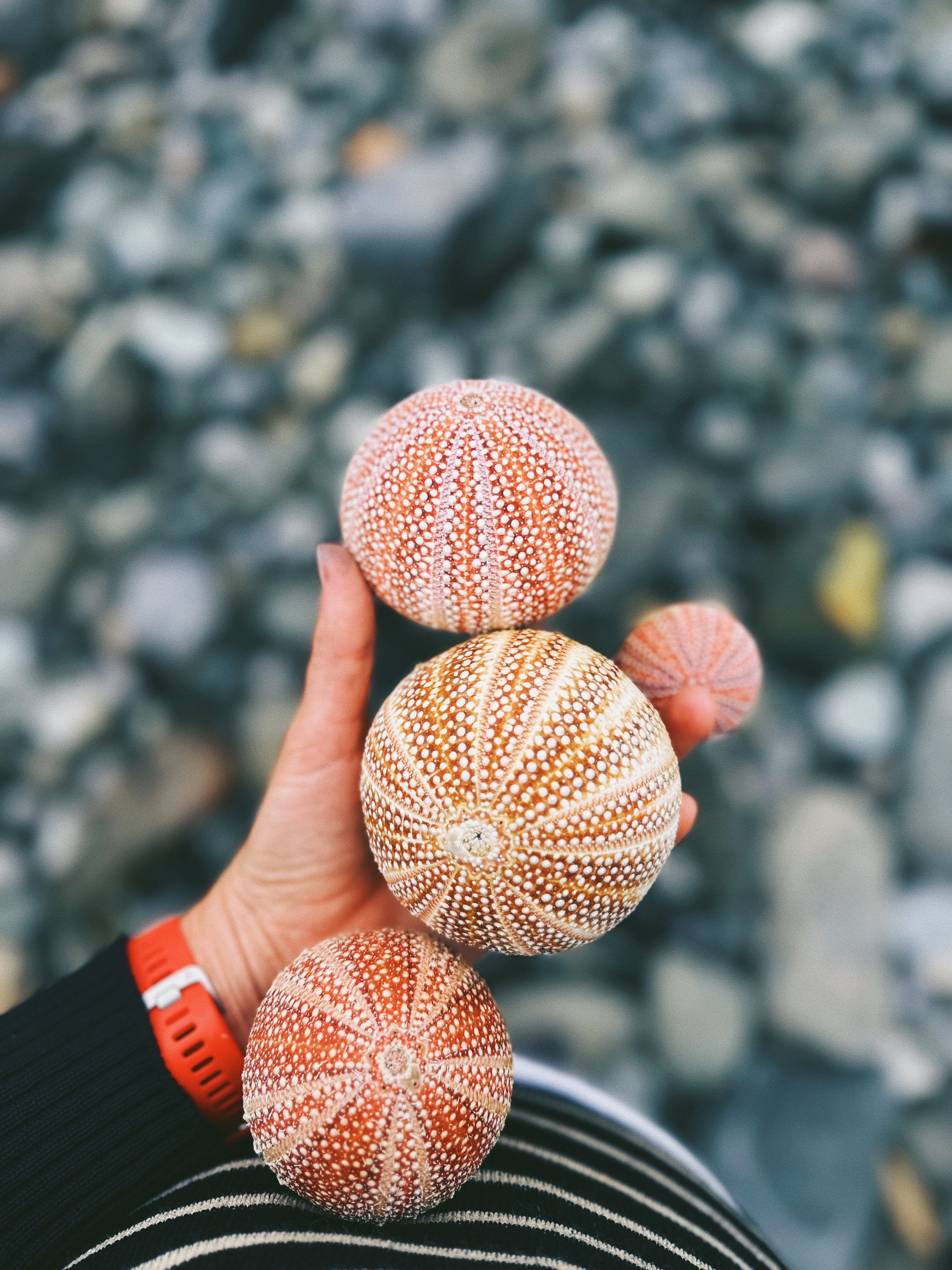 Capturing a Place - Creative Fuel with Anna Brones