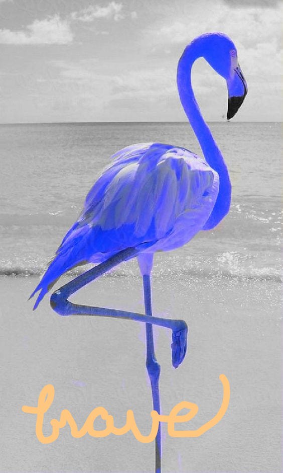 RISE+SHINE - by Ginger Stockwell - {Flamingo It!}