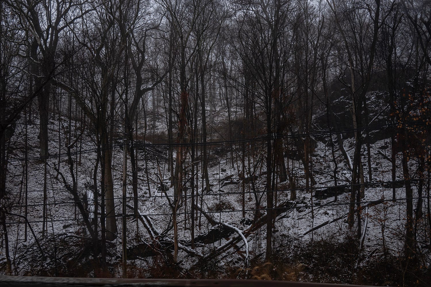 The Bad Guy, Part Two - by Tonya Morton - Juke