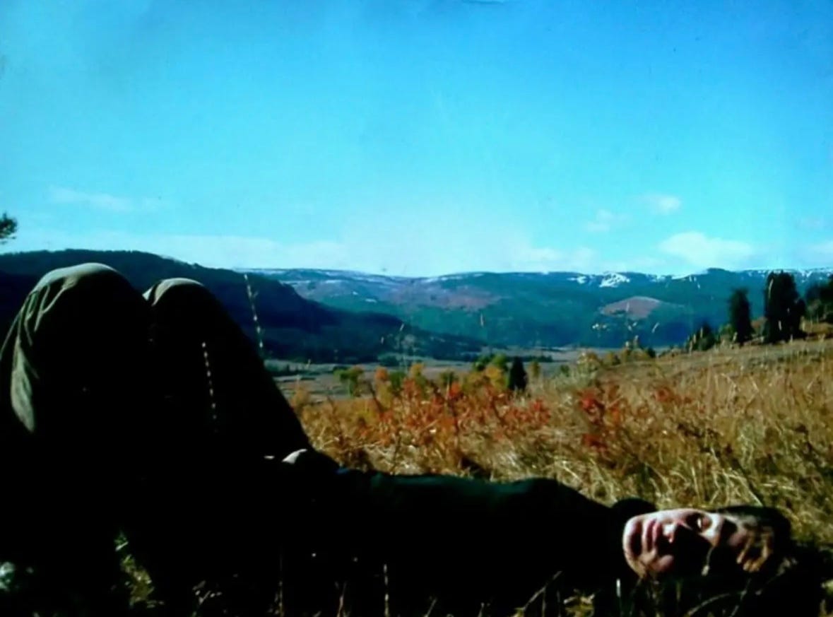 on blips - by Jill Prendergast - Jillprendergast