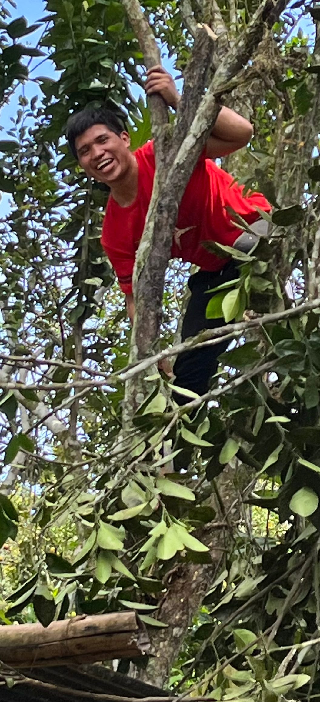 October in Panama - Moni’s Substack