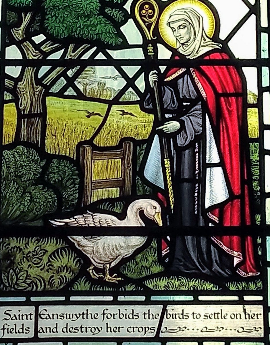 The Goose Saints: Resurrection, Reciprocity, & Rewilding