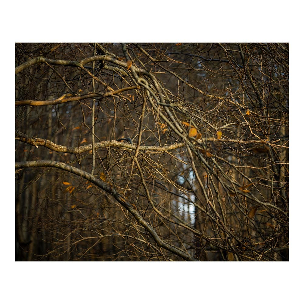 Tech and the over 50s - by Jon Gibbs - Jon’s Substack