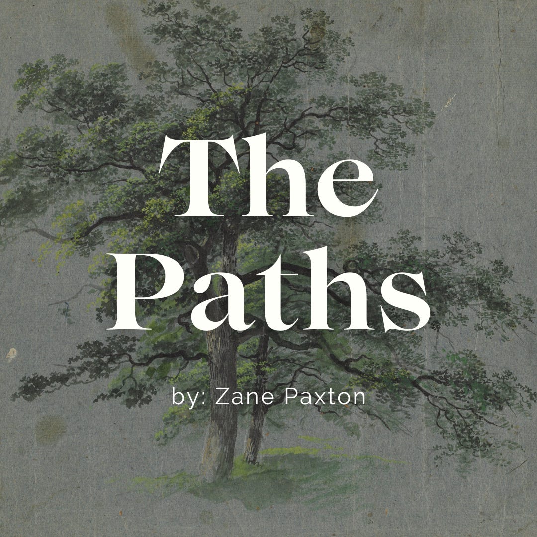The Paths - Zane Paxton's Poetry & Other Words