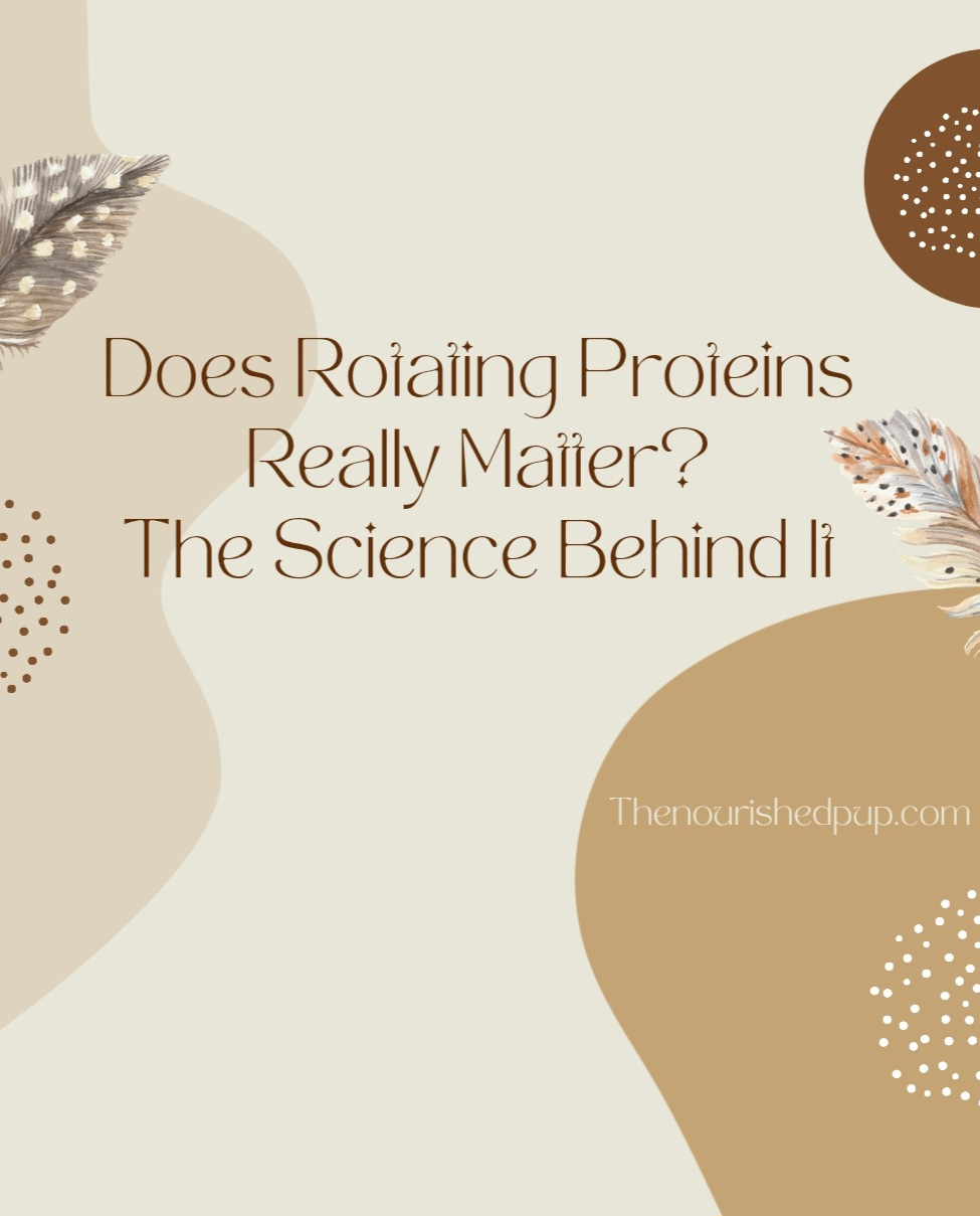 Does Rotating Proteins Really Matter?