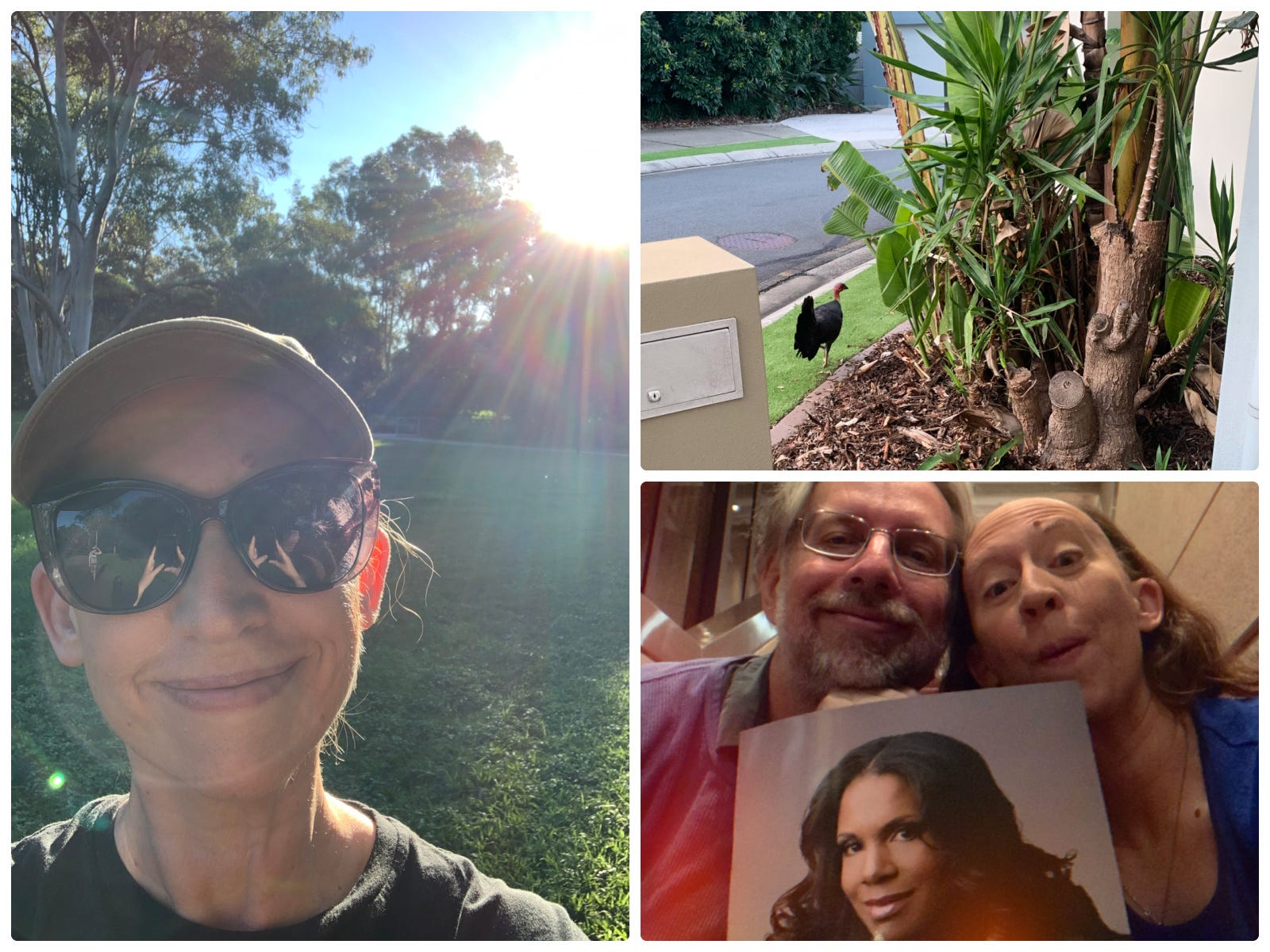 02. Fish & Chats - by Jen Payne - Fishbird Central