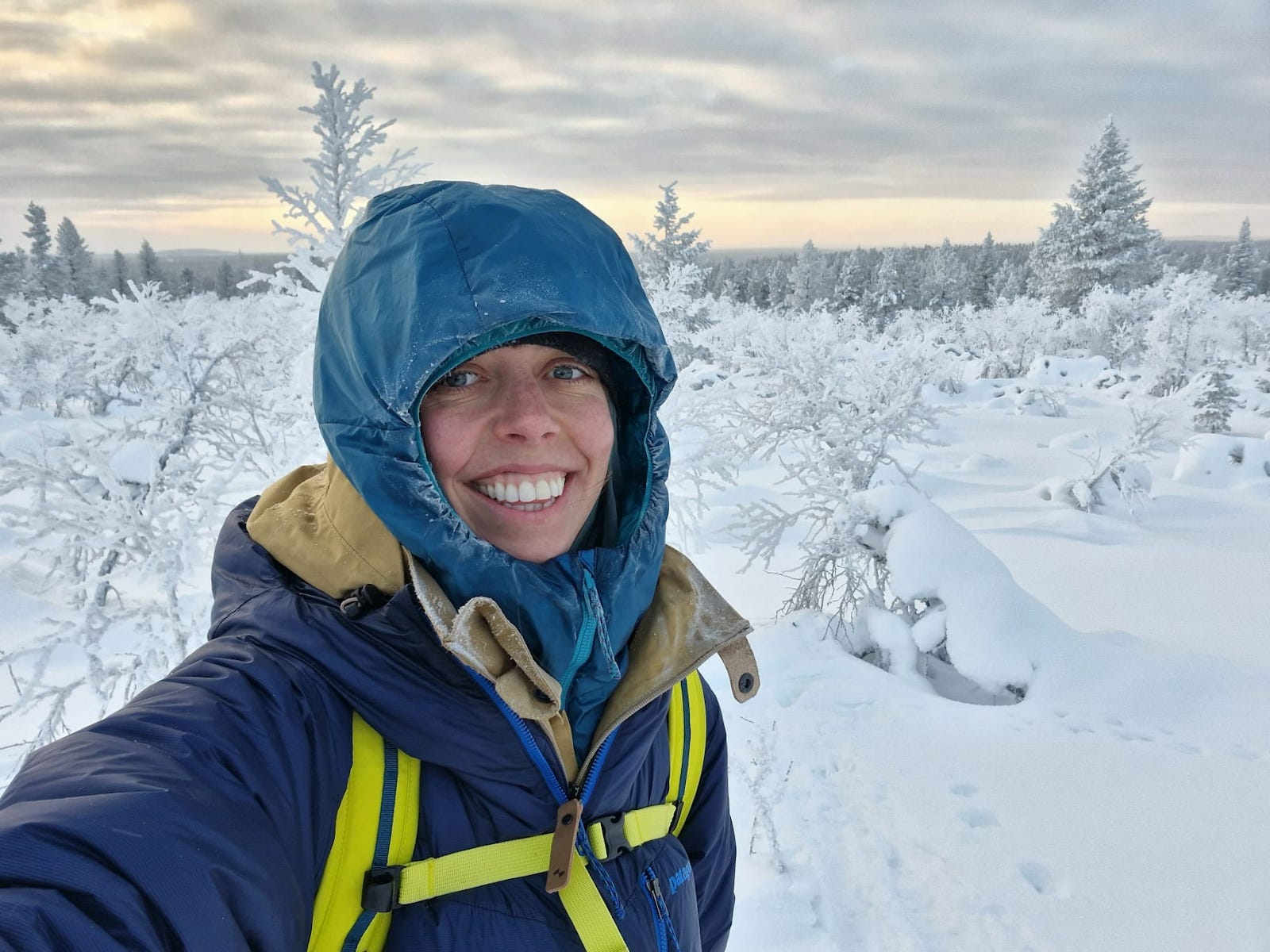 Can we make climate progress under Trump?