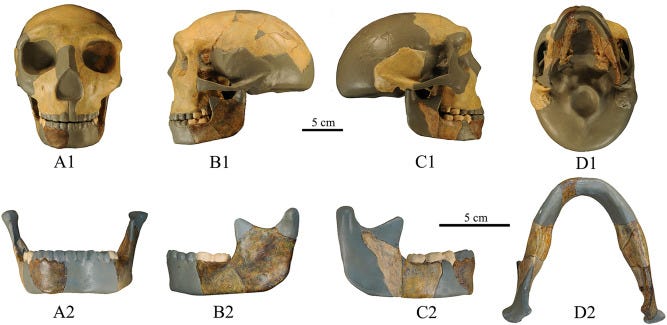 Breakdown: Unusual human fossil from Hualongdong, China