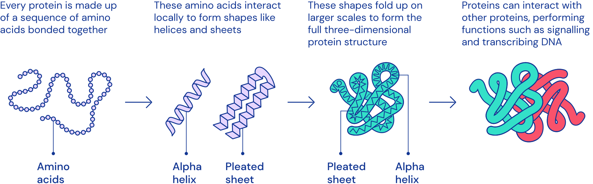 Unnatural Amino Acids - Dimension Research
