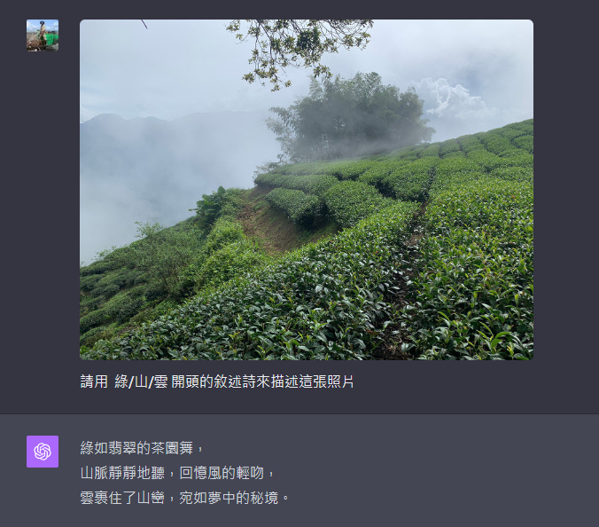 《GPT-4V 微軟評測報告 》第三章實測 - by Ted Chen - ChatGPT 落地研究 | Ted