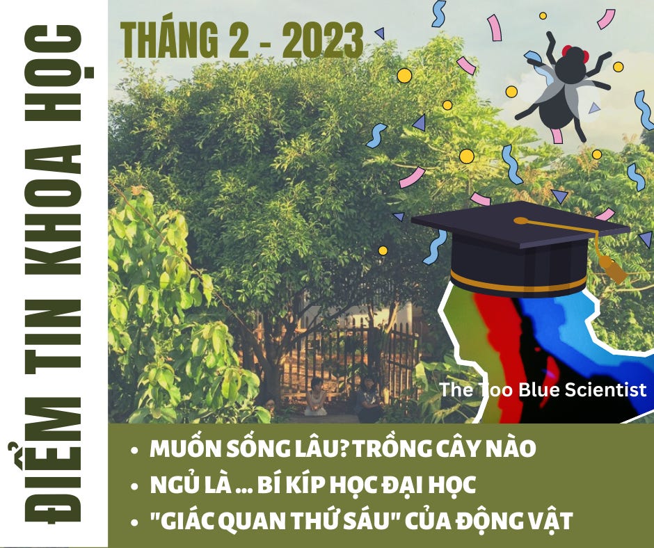 Điểm tin khoa học - Tháng 2/2023 - "Giác quan thứ sáu" phổ biến ở động vật, Ngủ là bí kíp học ...