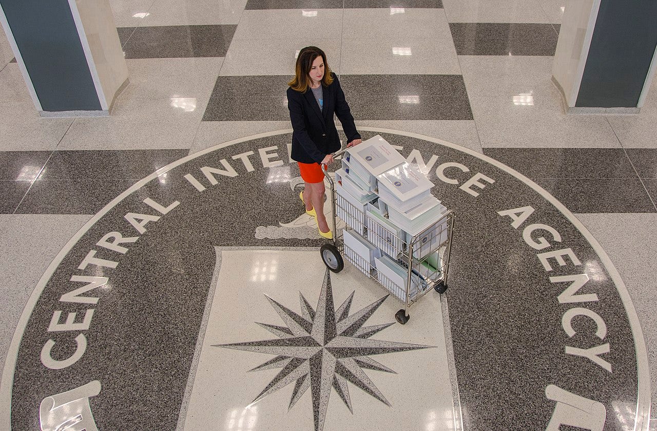 The CIA's Venture Capital Arm - by Samo Burja