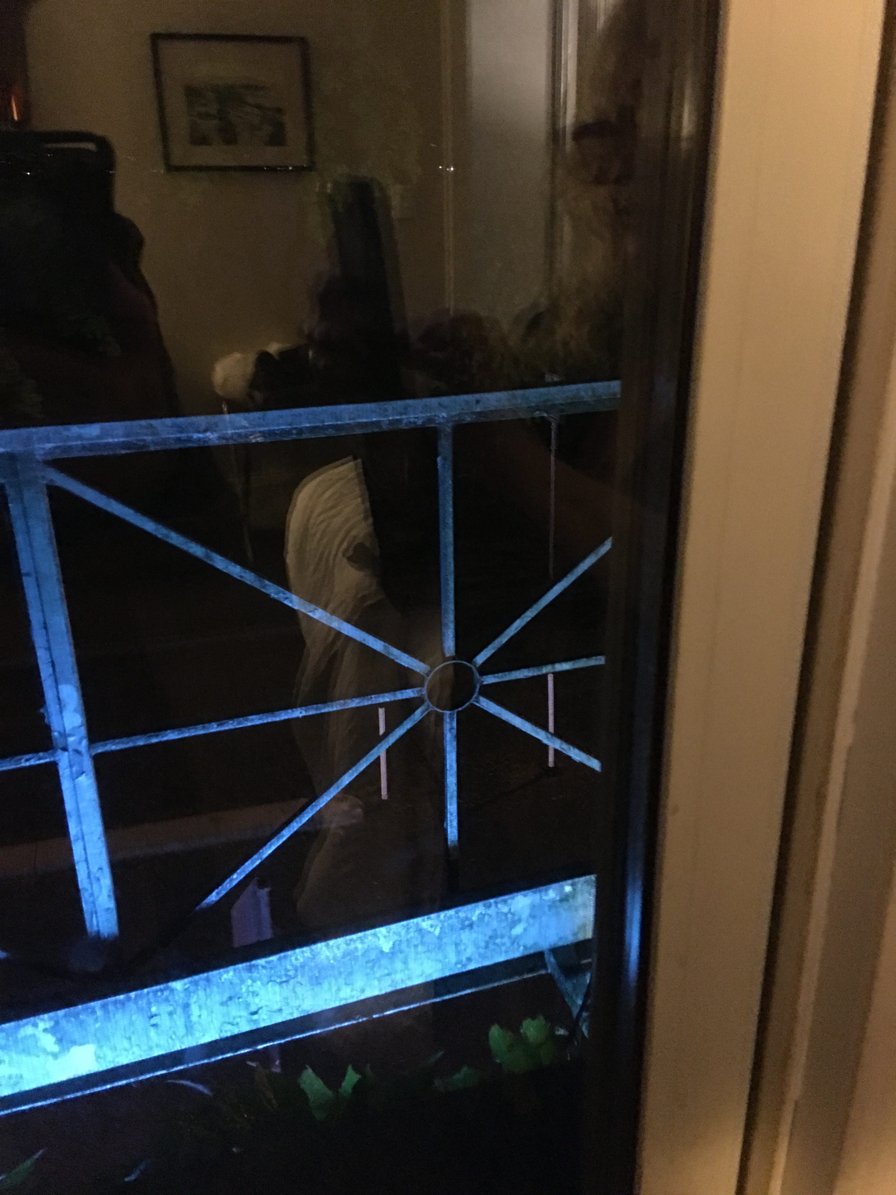 Keep Your Peepers Open - by Russell C. Smith - The New Now