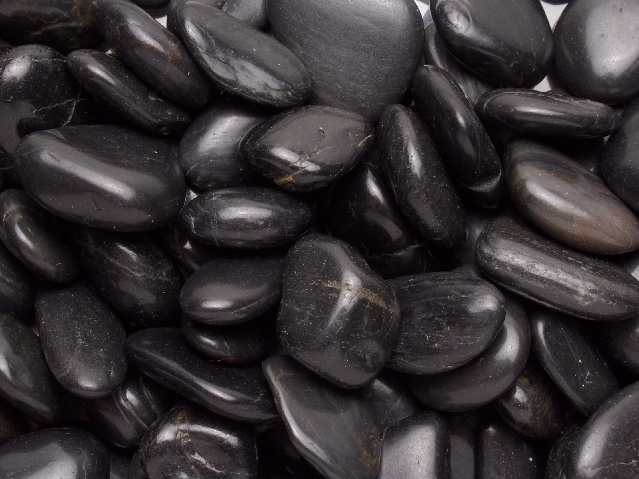 Danica Swanson | Substack