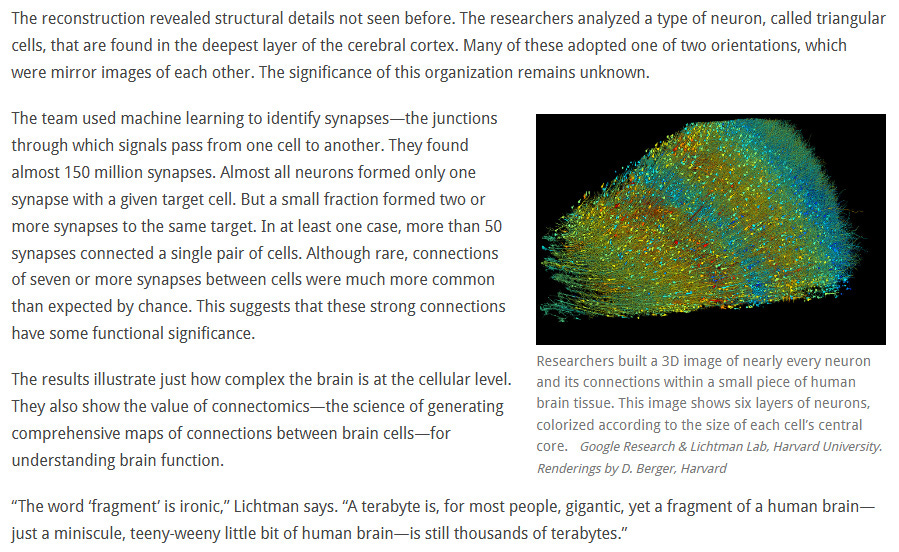 See the Human Brain Like Never Before