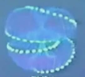 Nicola Tesla's Hyperborean Physics - Hyperborea