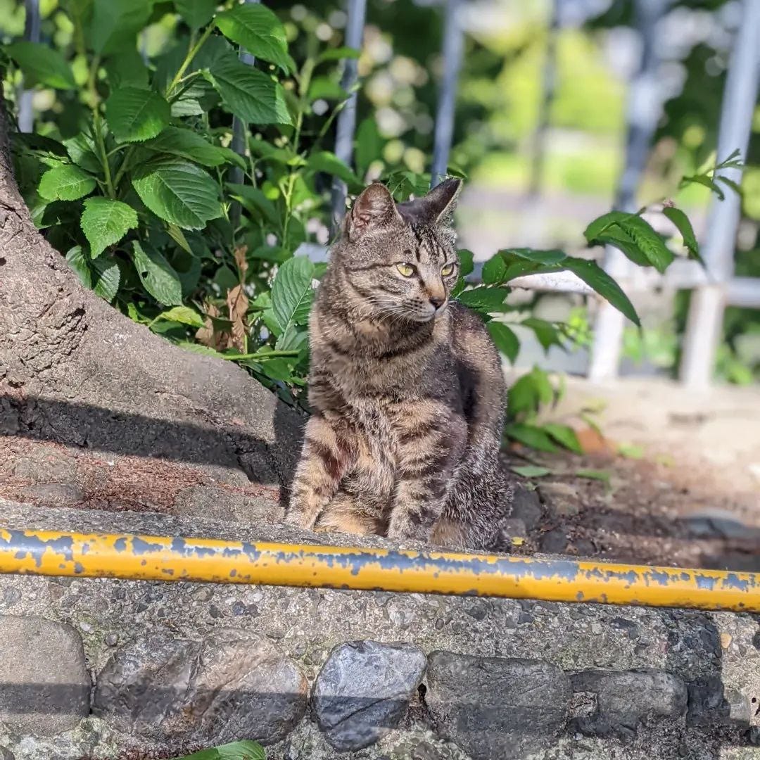 Plan your life and career with ABZ planning framework