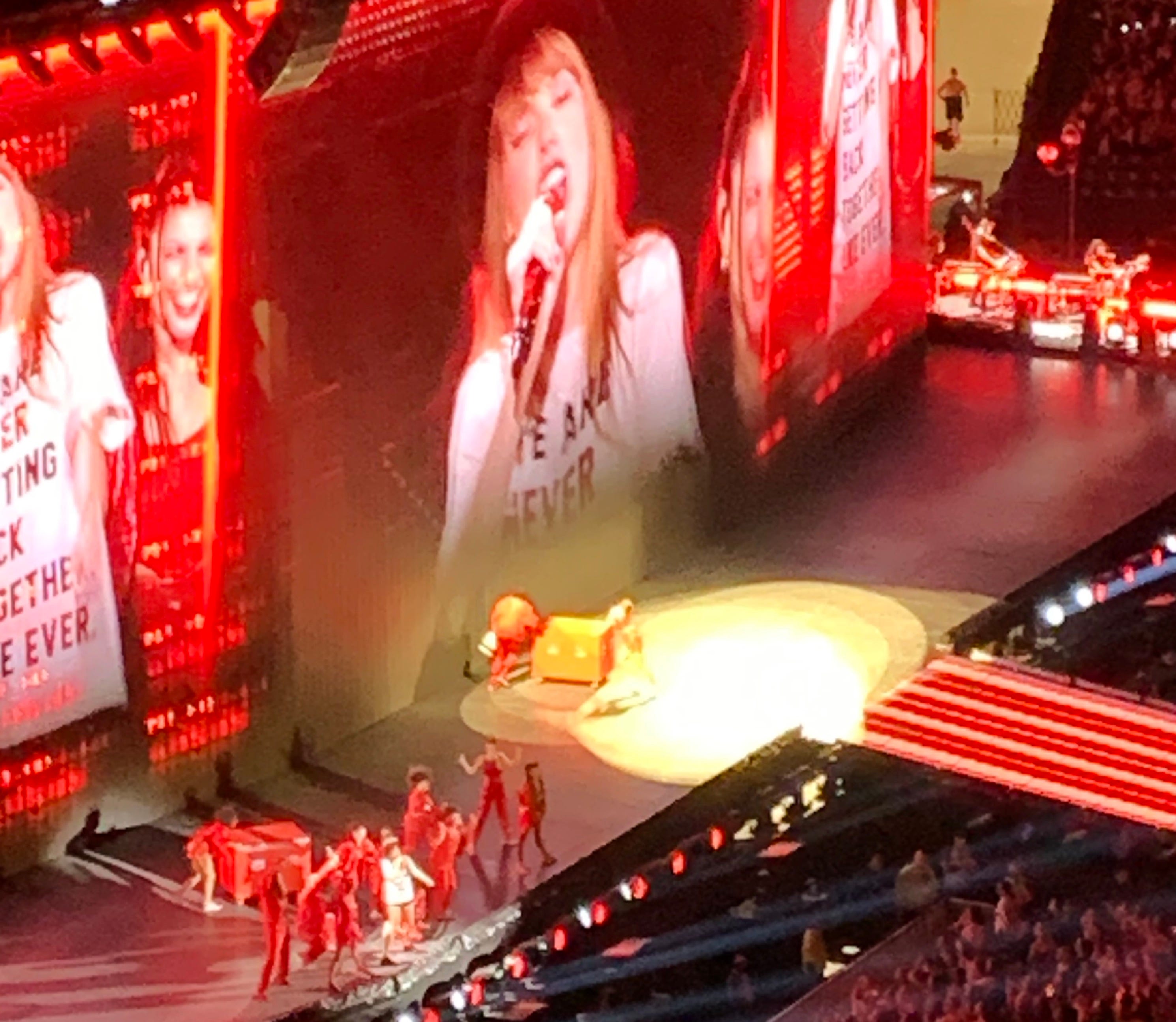 Too Big to Fail: The Taylor Swift Experience